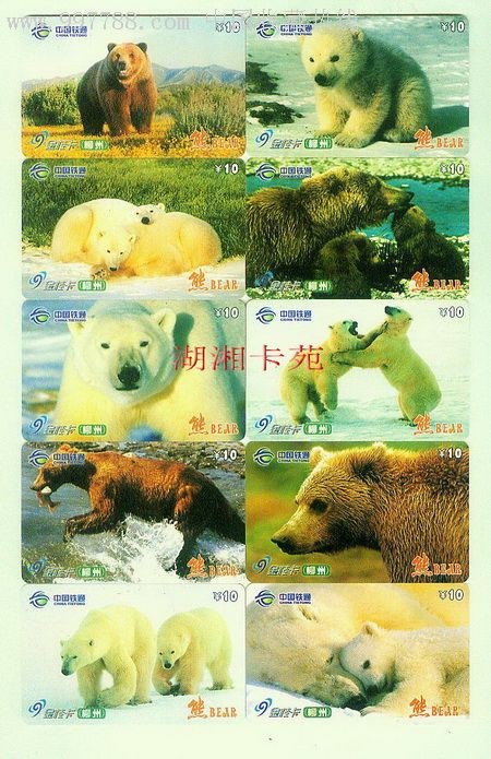 熊，10全，柳州铁通，LZCTT-BDJG-2006-13-价格:12元-se12200276-IP卡/密码卡-零售-7788收藏__收藏热线