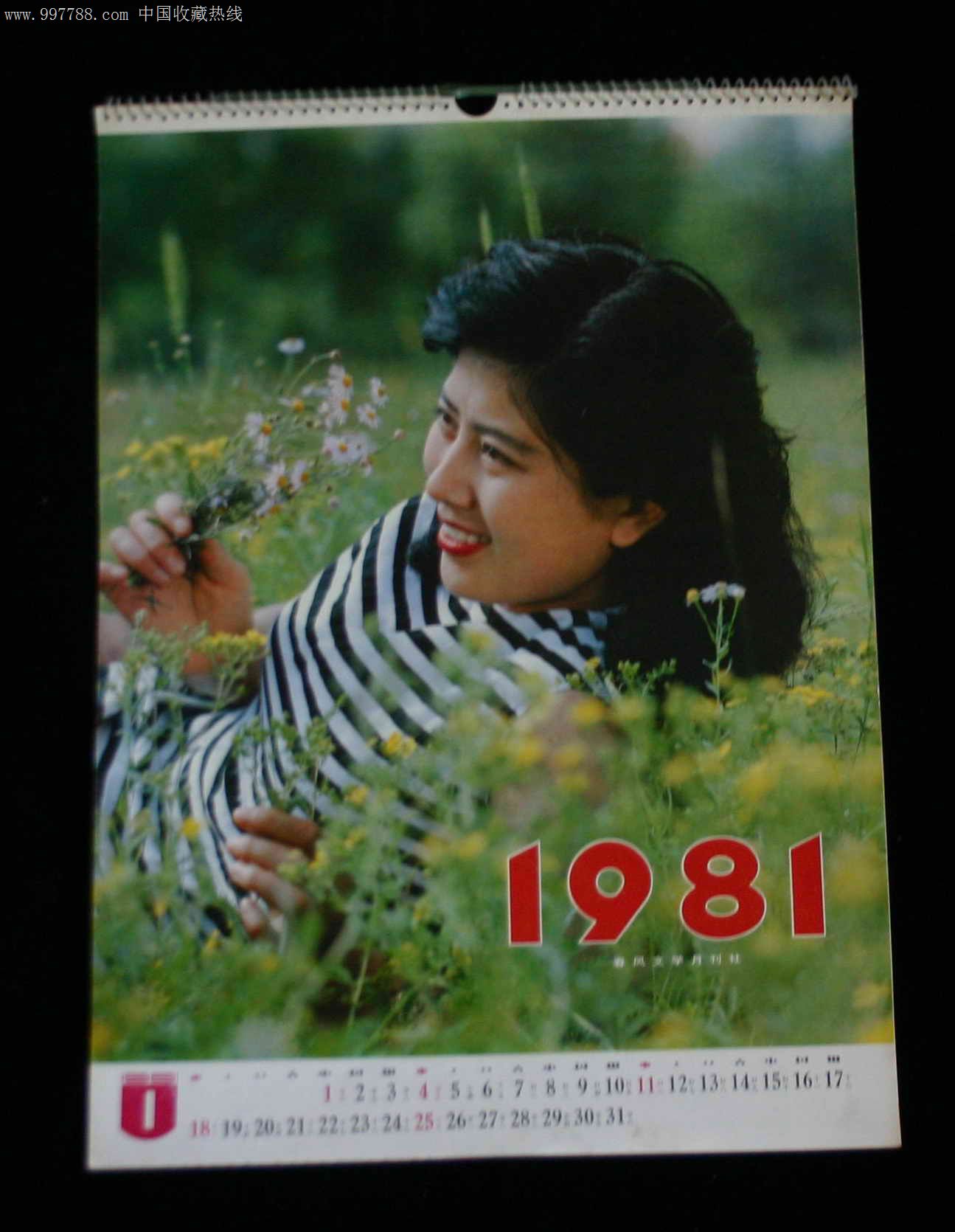 1981年明星美女挂历-价格:50元-se16194632-其它明星周边-零售-7788收藏__收藏热线